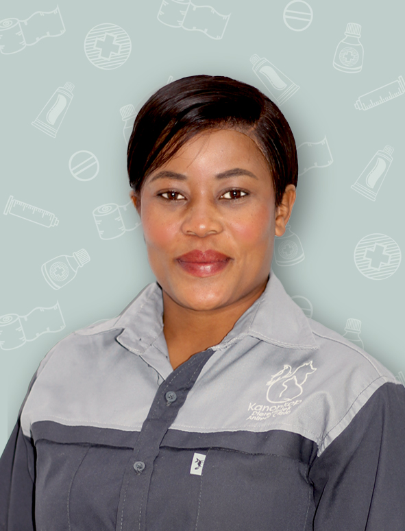 Home - Kanonkop Animal Clinic